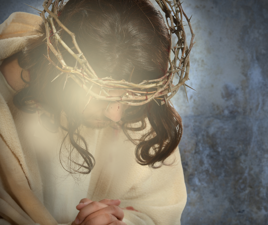 Adventures with Anne – National President Anne-Marie Gorman, March 30 ...