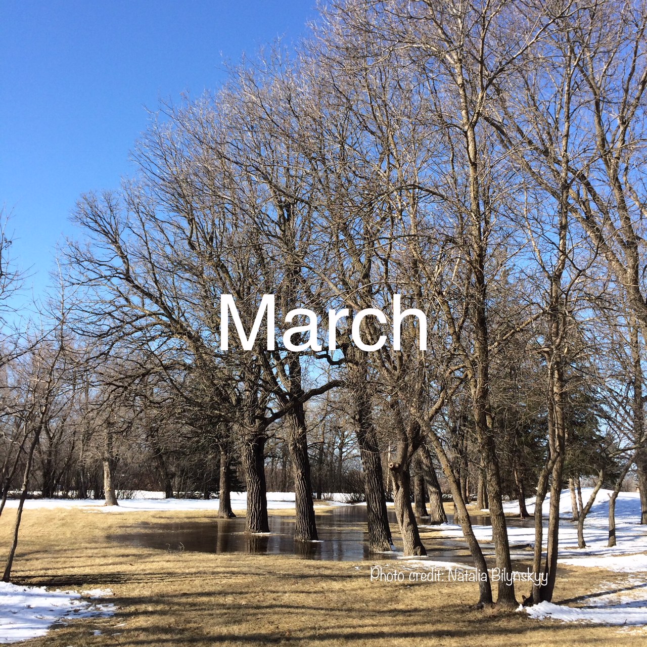 March message from National President, Margaret Ann Jacobs - The ...