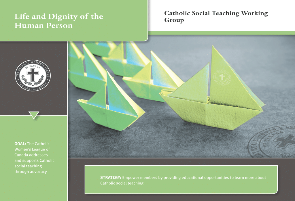 Launch of “Life and Dignity of the Human Person” Resource - The ...