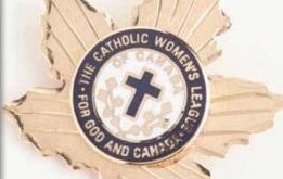 Online Survey Results, Membership and Order Delays - The Catholic Women ...