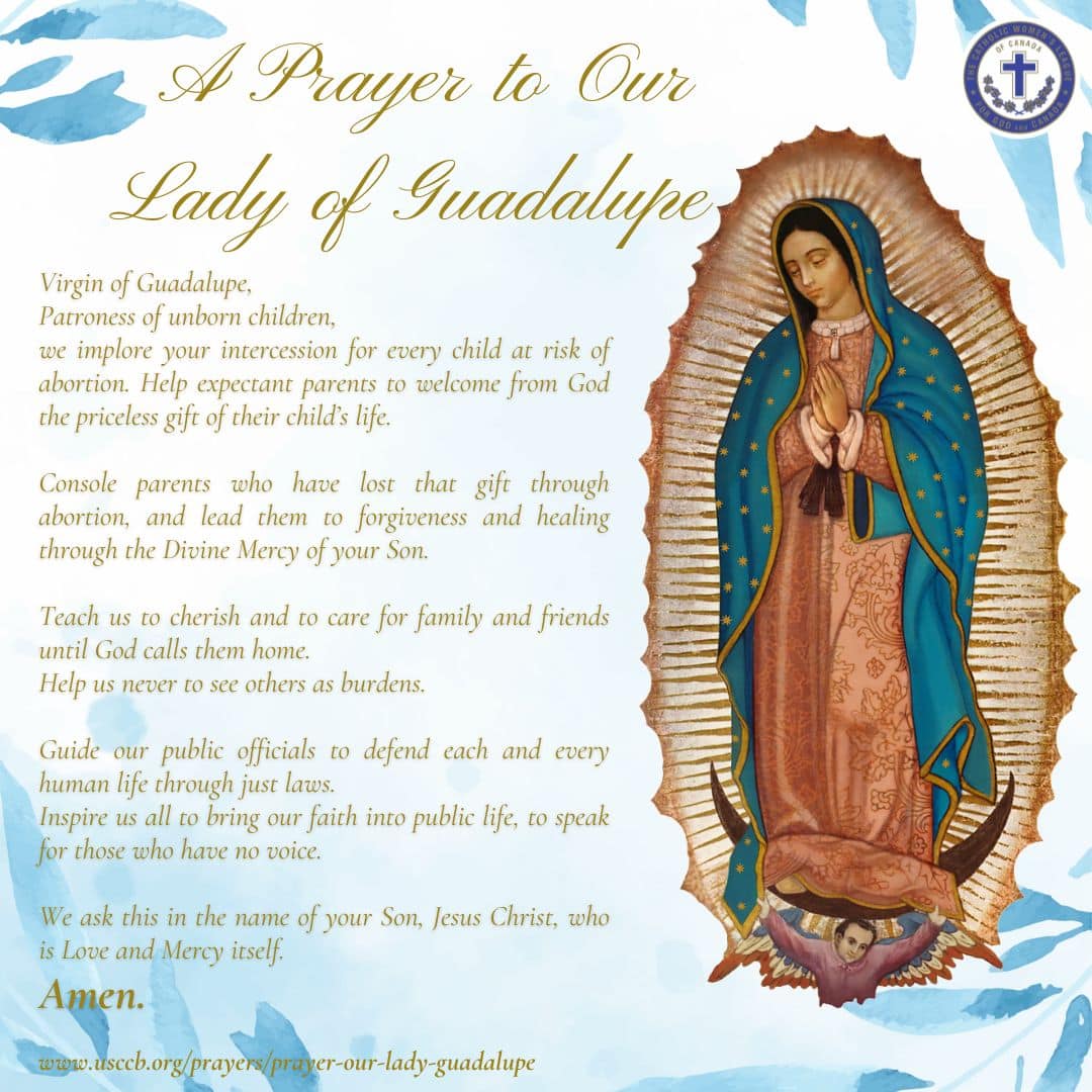 What Do You Pray To Our Lady Of Guadalupe For
