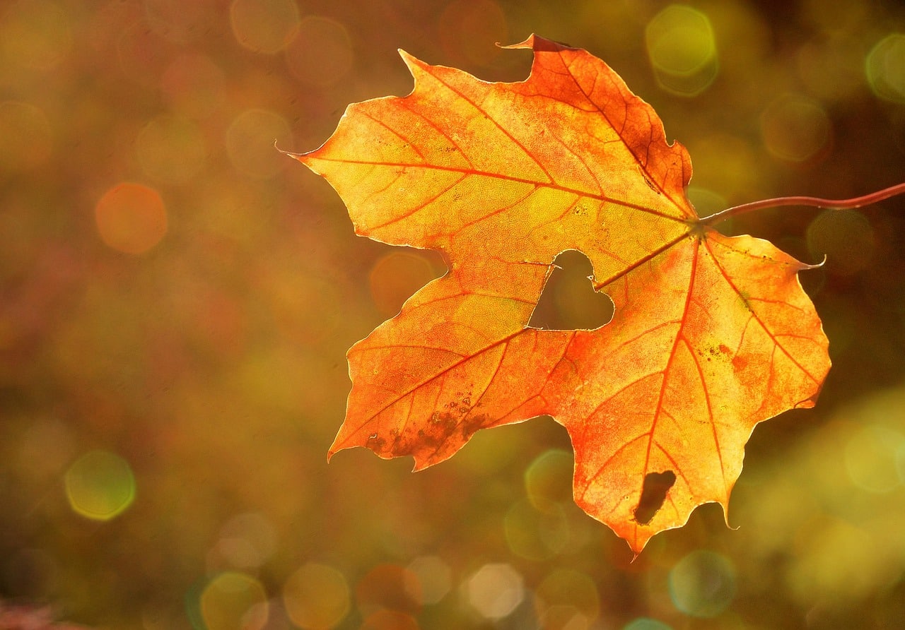 September 2025 National Memo – National Past President - The Catholic ...